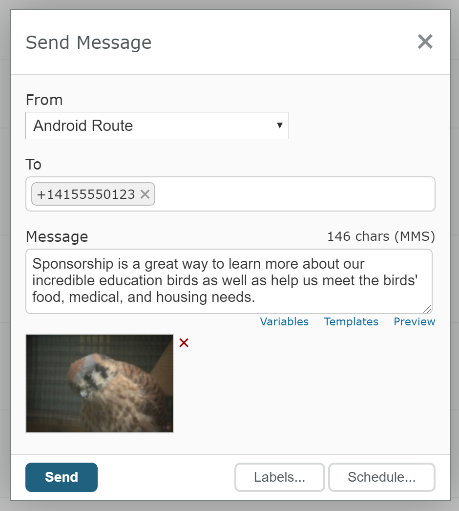 Sending and Receiving Multimedia with Telerivet